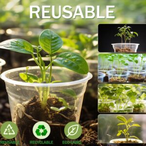 WandaQueen 30 Packs Clear Nursery Pots for Plants, 3.5/4/5 Inch Plant Pot for Planting Plastic Seedling Pots with Drainage Holes Seed Starter Pot High Transparency with 20 Plant Labels. (Transparent)