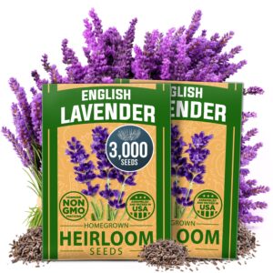 HOME GROWN Premium English Lavender Seeds, 3000 Non-GMO Herb Seeds, USA-Sourced Wildflower Seed for Planting Indoor/Outdoor, High Germination, Plant Flower Seeds