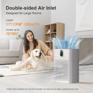 MORENTO Smart Air Purifier HY4866-WF Bundle with Genuine Original Version Air Purifier Replacement Filter 2 Pack