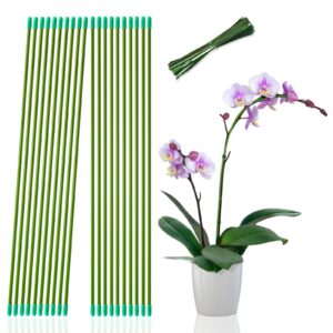 phenanive 20pcs plant stakes, 18inches garden bendable single stem plant support stakes for outdoor plants and indoor plants, orchid, amaryllis, potted tomato