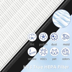 A2 HEPA Replacement Filter for 3M Filtrete Room Air Purifier FAP-C02-A2,FAP-C03-A2,FAP-T03-A2,FAP-SC02L,2 H13 True HEPA Filters + 4 Actived Carbon Pre-Filters,Part # 1150101