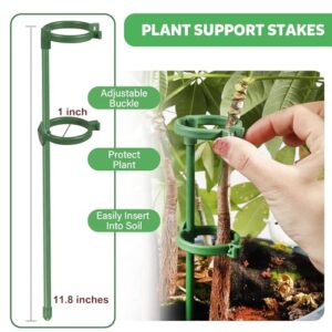 30 Pack Plant Stakes 12 Inch, Adjustable Length Plant Support Stakes for 3 Sizes (12, 24 or 36 Inches), Green Plant Sticks Fiberglass Single Stemmed Flower Support for Potted Indoor Plants