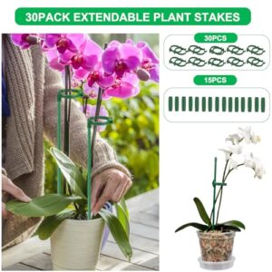 30 Pack Plant Stakes 12 Inch, Adjustable Length Plant Support Stakes for 3 Sizes (12, 24 or 36 Inches), Green Plant Sticks Fiberglass Single Stemmed Flower Support for Potted Indoor Plants