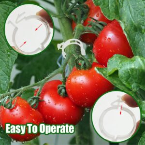 130Pcs Tomato Hooks with String,Plant Support Clips,Tomato Support Hook for Climbing Plants,Tomato Holder Hooks with 32.8ft Twine to Prevent Vegetable Fruit from Pinching or Falling Off