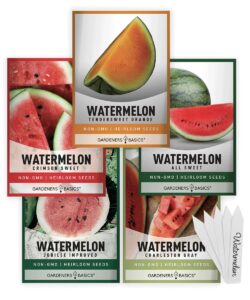 watermelon fruit seeds for planting home garden 5 variety packets - crimson sweet, jubilee improved, tendersweet orange, charleston grey, and all sweet watermelon seed packs by gardeners basics