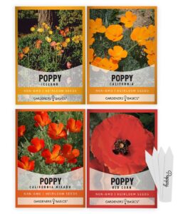 poppy seeds for planting outdoors flower seeds (4 variety pack) poppies iceland, california, california mikado and red corn varieties for bees, pollinators wildflower seed by gardeners basics