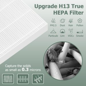 Improvedhand C545 Replacement Filter S Compatible with Winix C545 Air Purifier, 2 Pack H13 True High Efficiency Filter and 8 Pack Activated Carbon Filter