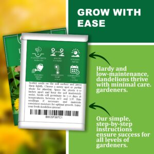 TKE Farms & Gardens - Dandelion Seeds for Planting, 500 Mg, 500+ Non-GMO, Heirloom Seeds, Produces Medicinal Greens & Edible Flowers, Supports Wildlife & Pollinators, Herbal Teas