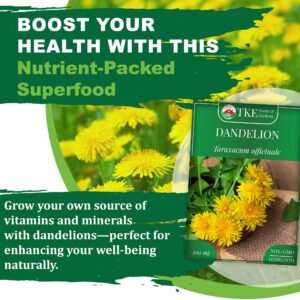 TKE Farms & Gardens - Dandelion Seeds for Planting, 500 Mg, 500+ Non-GMO, Heirloom Seeds, Produces Medicinal Greens & Edible Flowers, Supports Wildlife & Pollinators, Herbal Teas