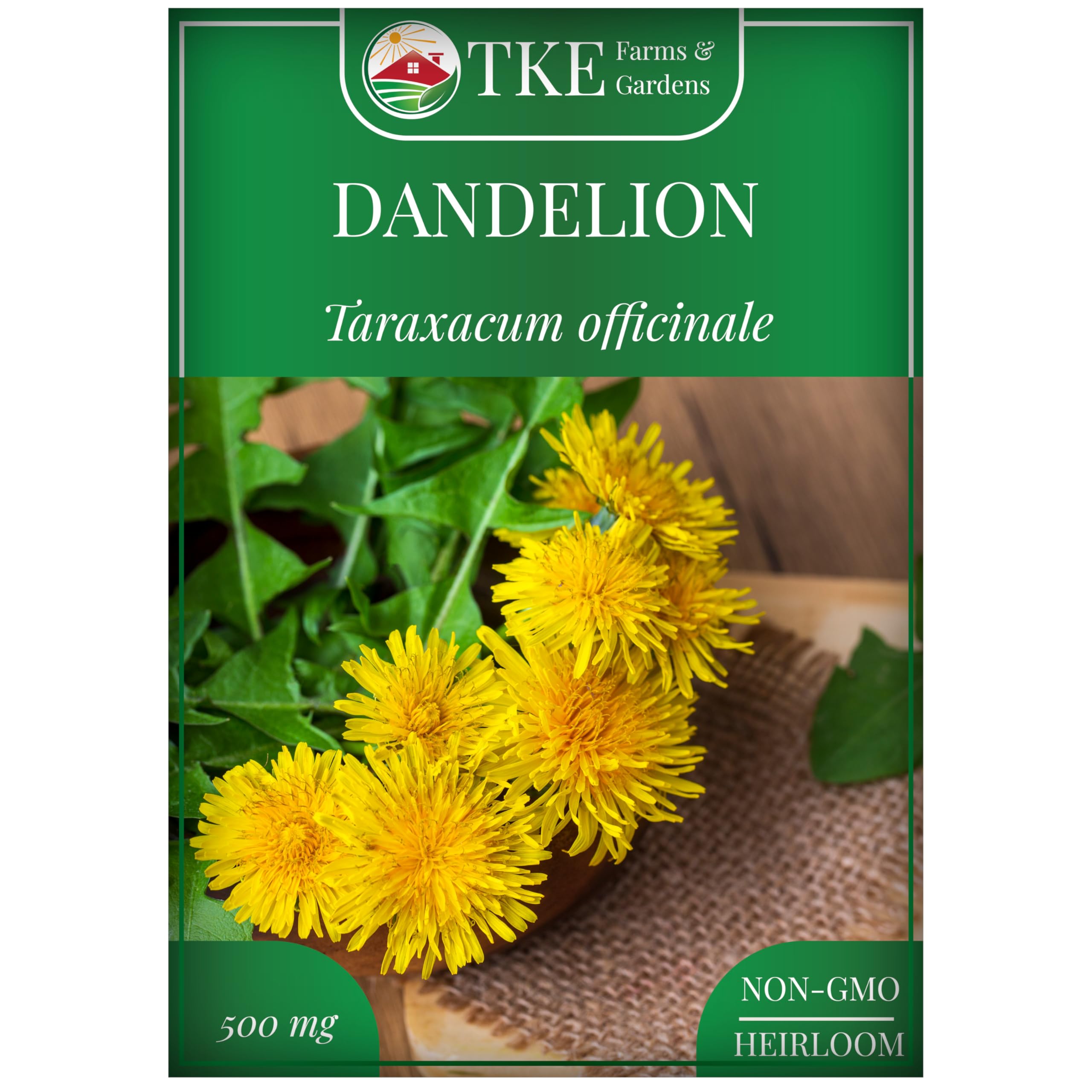 TKE Farms & Gardens - Dandelion Seeds for Planting, 500 Mg, 500+ Non-GMO, Heirloom Seeds, Produces Medicinal Greens & Edible Flowers, Supports Wildlife & Pollinators, Herbal Teas