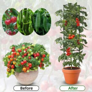 arbxvnr 3 Package up to 48in Tomato cage Garden Grid Plant Support Posts with Adjustable Tomato cage Vegetable Grid (3pack)