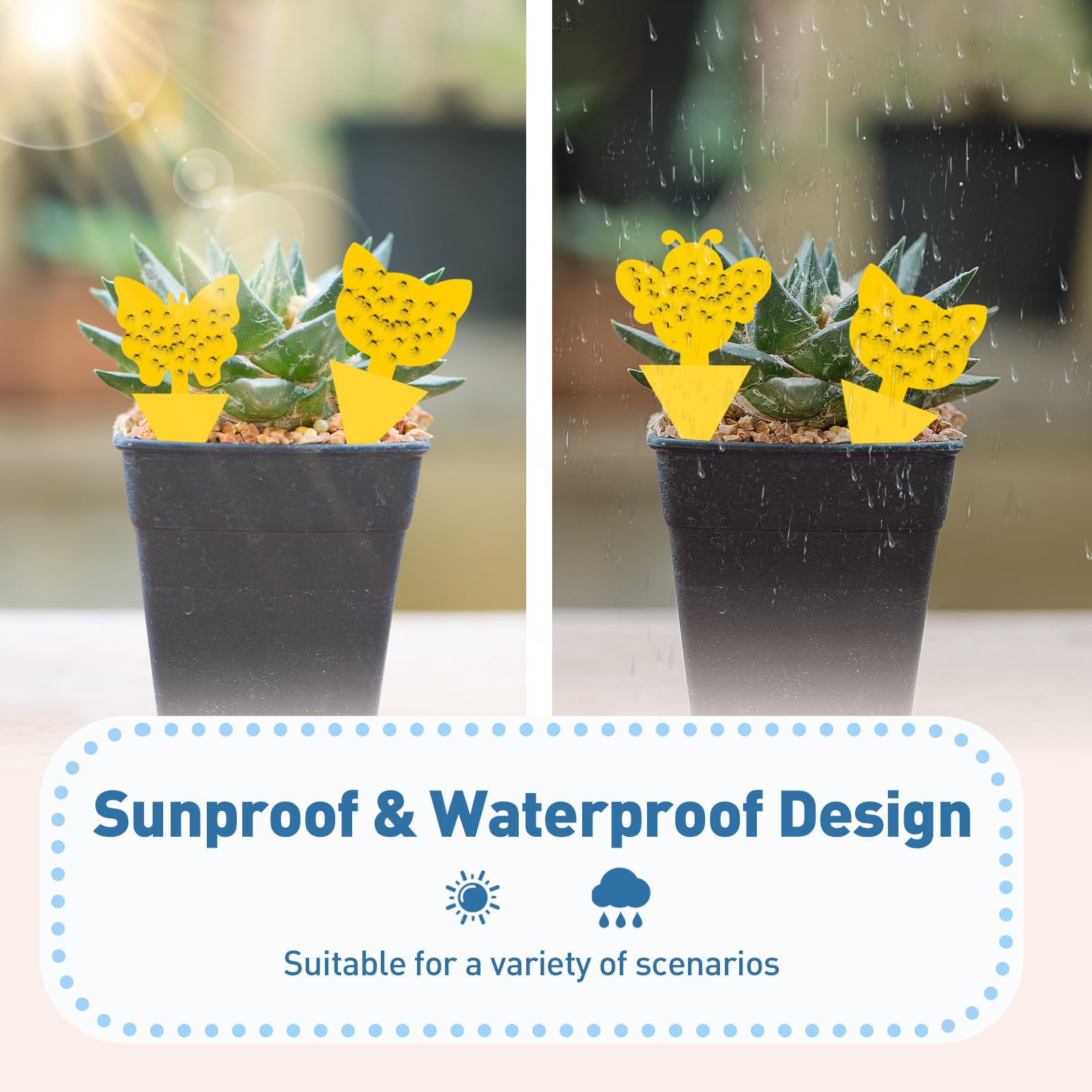 vertmuro 48 Pack Fruit Fly Traps for Indoor Outdoor, 3 Shapes Yellow Sticky Bug Traps, Double-Side Fungus Gnat Killer for Houseplants, Mosquitos, Flying Insects