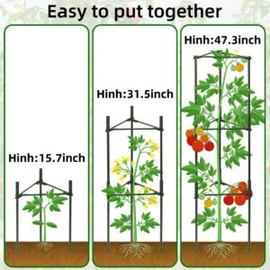 arbxvnr 3 Package up to 48in Tomato cage Garden Grid Plant Support Posts with Adjustable Tomato cage Vegetable Grid (3pack)