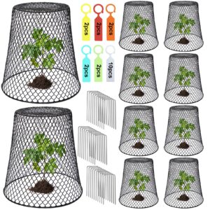 dukelai 10 pcs chicken wire cloche plant covers garden netting metal heavy duty plant protectors from animals for keeping bunnies chicken squirrels birds other out 9.13×9.13 in