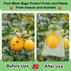 JOINDO 100 Pcs Fruit Protection Bags, 4''×6''Fruit Netting Bags for Fruit Trees, Green Fruit Cover Mesh Bag with Drawstring Netting Barrier Bags for Plant Fruit Flower and Vegetables