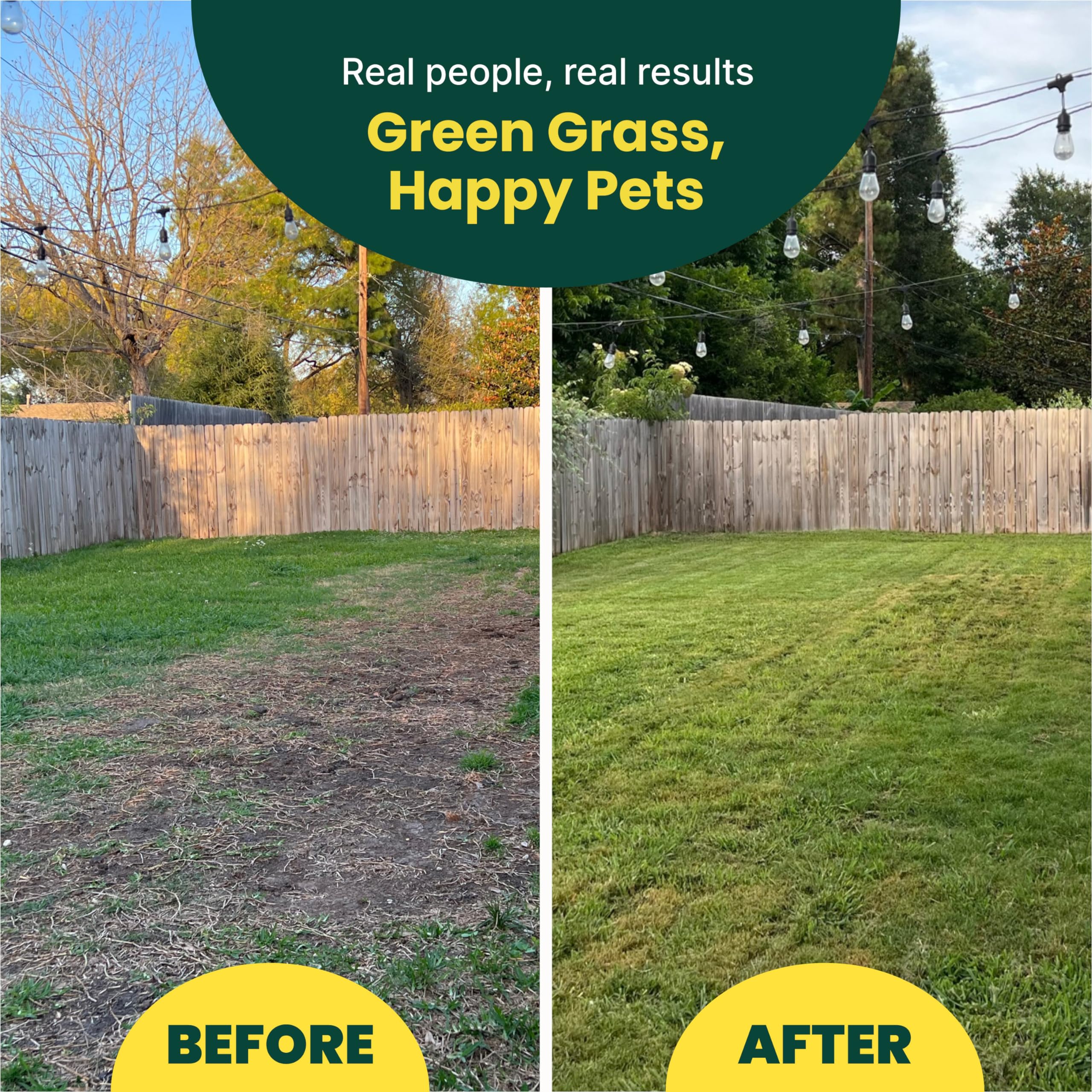 Sunday Pet Patch - Lawn Spots Repair - Repair & Prevent Grass Pet Spots - Easy Hose-On Formula - Covers Up to 2,500 sq ft - 2 Pack - 42 Fl Oz