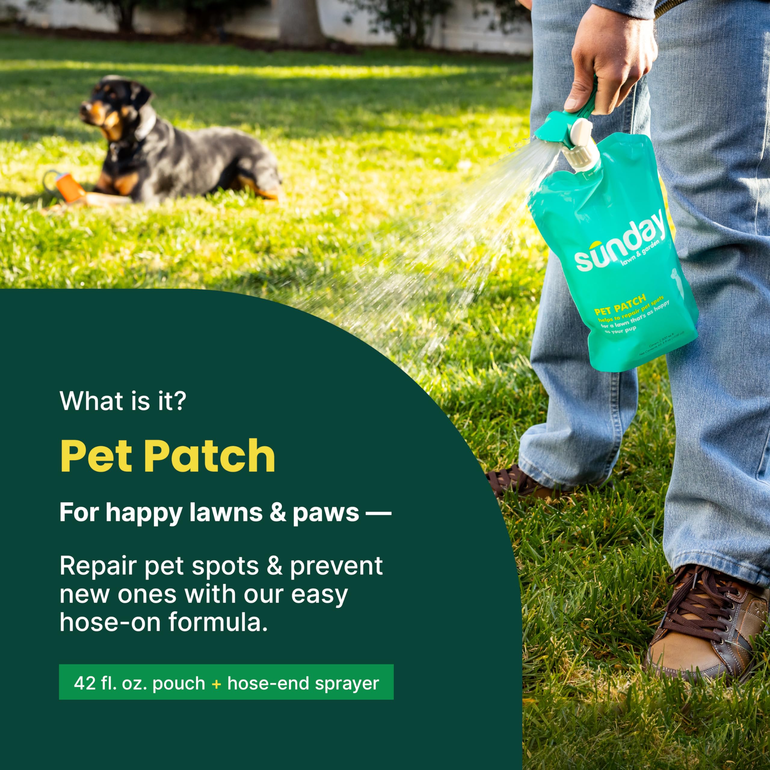 Sunday Pet Patch - Lawn Spots Repair - Repair & Prevent Grass Pet Spots - Easy Hose-On Formula - Covers Up to 2,500 sq ft - 2 Pack - 42 Fl Oz