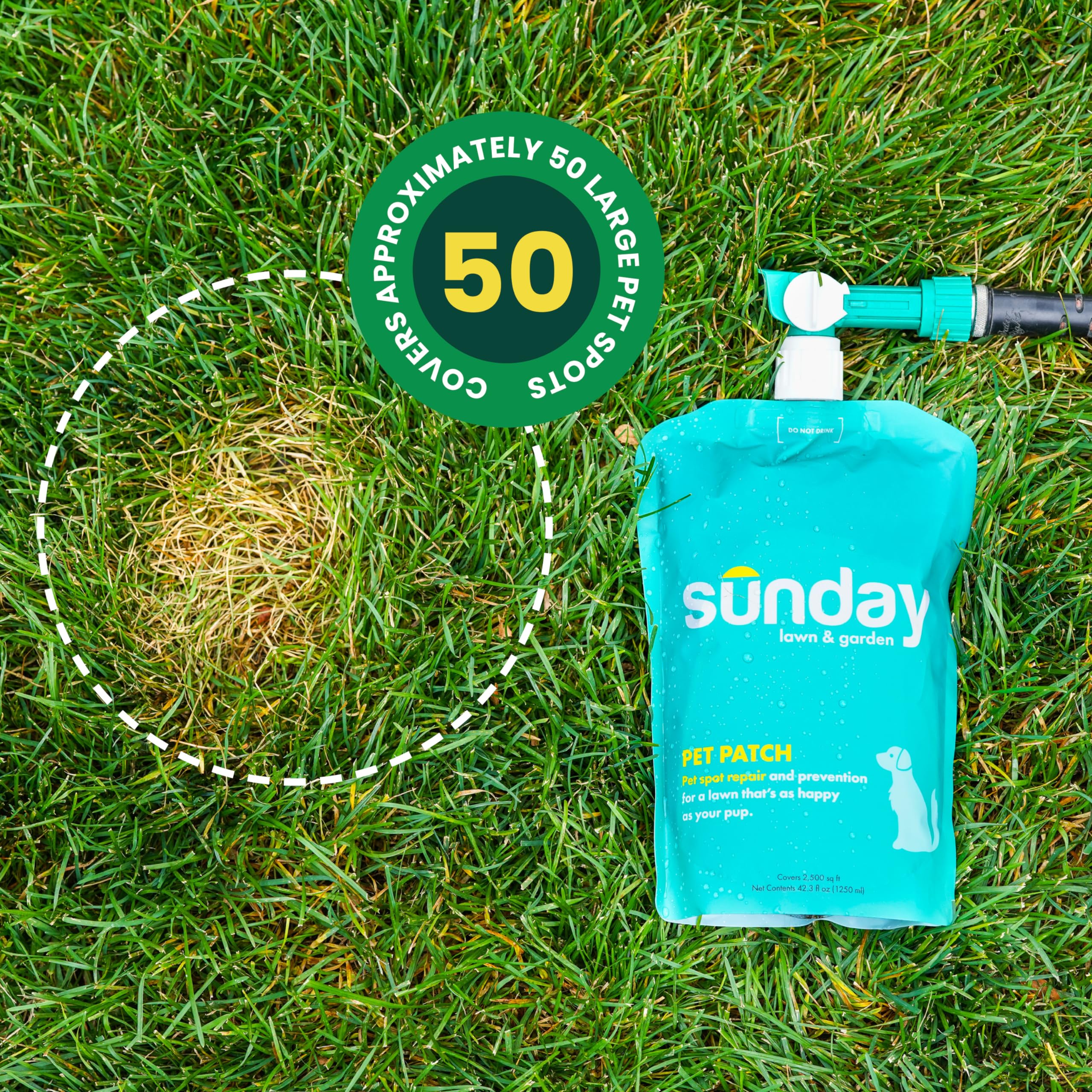 Sunday Pet Patch - Lawn Spots Repair - Repair & Prevent Grass Pet Spots - Easy Hose-On Formula - Covers Up to 2,500 sq ft - 2 Pack - 42 Fl Oz