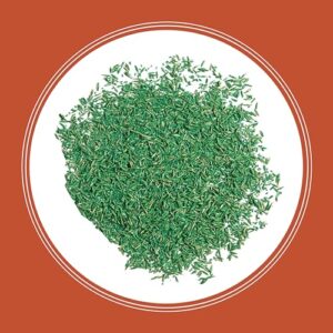 Pennington Bermudagrass Grass Seed 15 lb