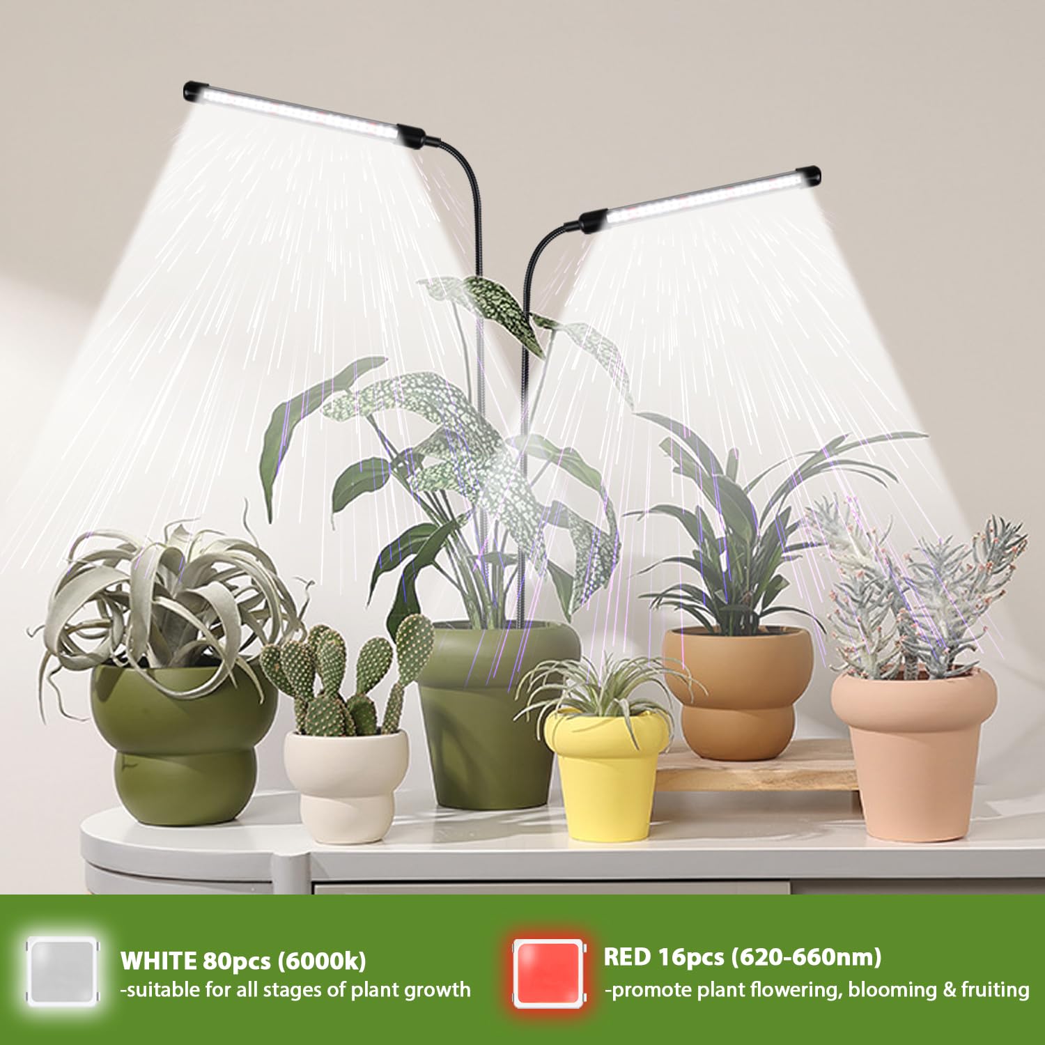 WeeLeeGoo Grow Light 2 Pack, 6000K Full Spectrum Gooseneck Growing Lamp for Indoor Pot Plants Bonsai/Plant/Houseplants, Dimmable & Auto Timer 4 8 12H