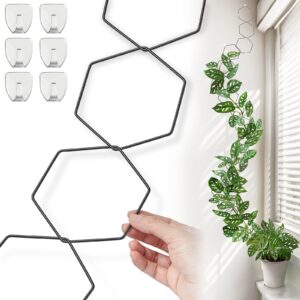 chain trellis for climbing plants - indoor & outdoor house plant accessories for monstera, pothos, ivy, and more | garden wall trellis and plant vine support - houseplant accessories and plant gifts