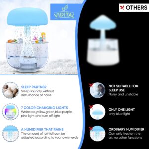 VIDITAL Raining Cloud Diffuser with Rain 7 Changing Colors, Rain Cloud Humidifier Night Light, White Noise, Relaxing Rain Sounds Aid, ECO-Friendly, 6 Decorations Included