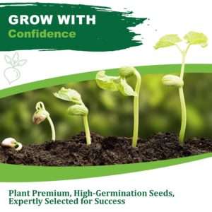 TKE Farms & Gardens - Rue Seeds for Planting, 1 Gram, 500 Heirlooom Seeds, Non-GMO, Instructions Included, Ruta graveolens, Qty 1