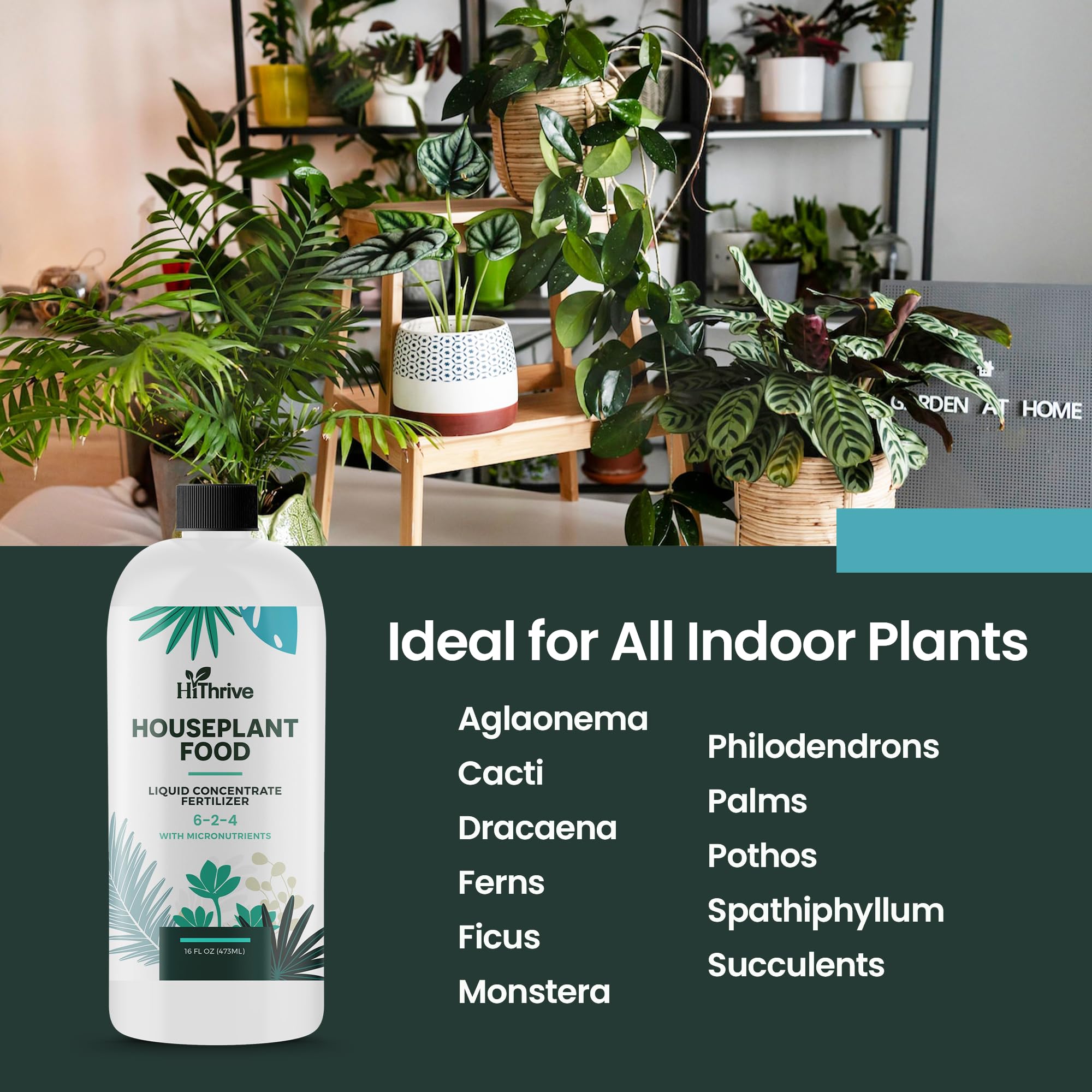 16oz Houseplant Fertilizer, All Purpose Indoor Plant Food - Makes 87+ Gallons, Indoor Plant Fertilizer for Fiddle Leaf Fig Tree, Pothos and More, 6-2-4 NPK, Concentrated Fertilizer for Indoor Plants