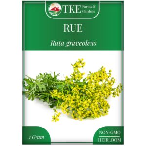 tke farms & gardens - rue seeds for planting, 1 gram, 500 heirlooom seeds, non-gmo, instructions included, ruta graveolens, qty 1