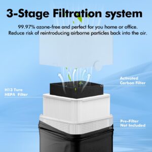 1 Pack 211+ Filter Replacement Compatible with 211+ Air Purifier, 2-In-1 H13 211+ Hepa Filter and Activated Carbon Filter