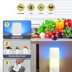 Fruit Fly Traps for Indoors, 2 in 1 Plug in Bug Catcher Indoor Flying Insect Trap with Warm LED Night Light and UV Attractant, Fly Traps Indoor for Home Fruit Fly Killer (1 Device + 6 Glue Cards)