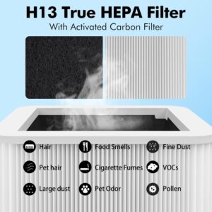 1 Pack 211+ Filter Replacement Compatible with 211+ Air Purifier, 2-In-1 H13 211+ Hepa Filter and Activated Carbon Filter