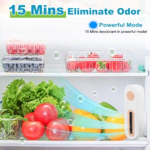 NEWEST [4 in 1] Fridge Deodorizer - Refrigerator Air Freshener Reusable Fridgerator Deodorizer Odor Eliminator Outperforms Baking Soda for Fridge and Freezer & Bamboo Charcoal Air Purifying Bags