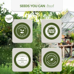 Garden Pack 20 Herb Seeds Variety Pack - 14,000 Non GMO Herb Seeds for Planting - Garden Seeds for Your Own Herb Garden