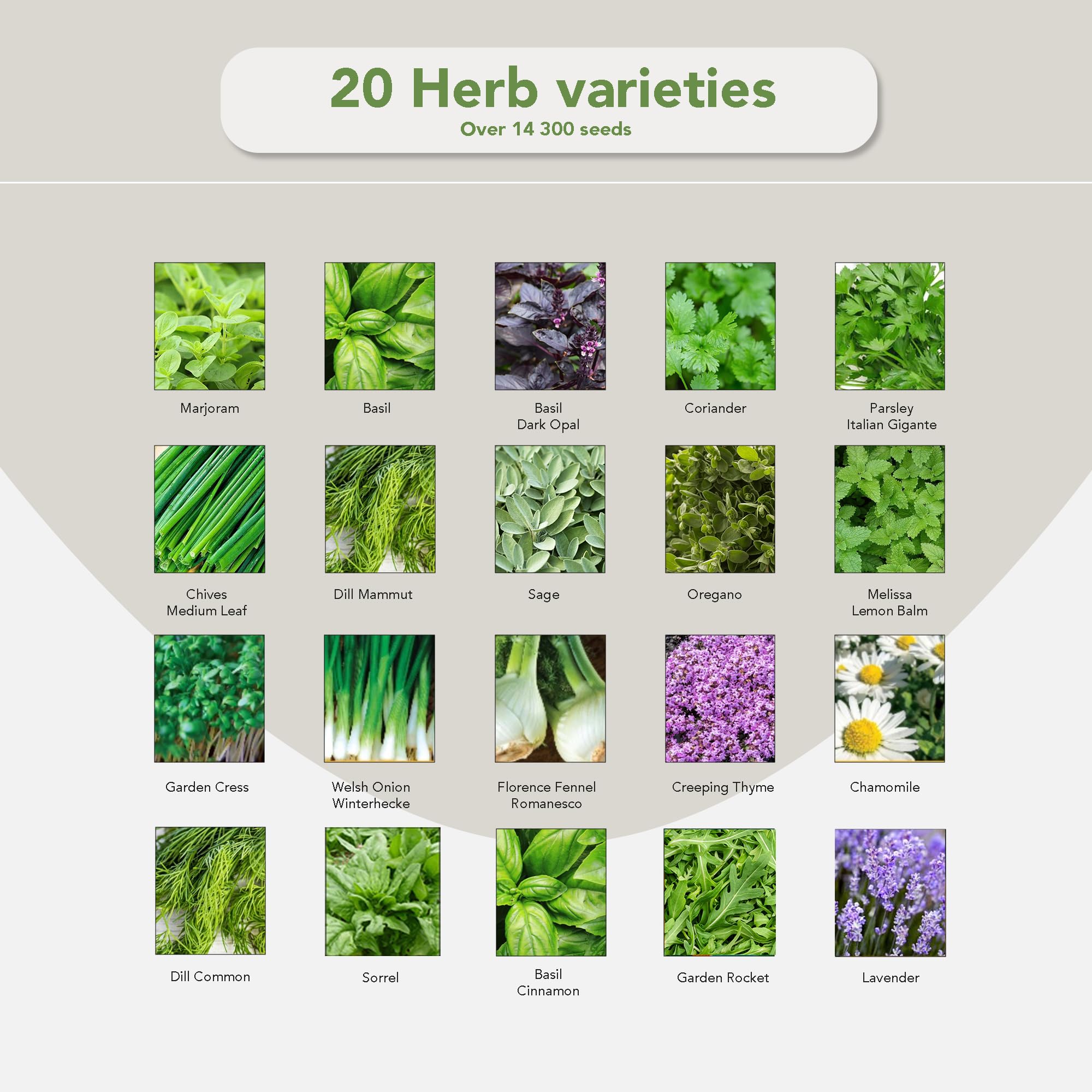 Garden Pack 20 Herb Seeds Variety Pack - 14,000 Non GMO Herb Seeds for Planting - Garden Seeds for Your Own Herb Garden