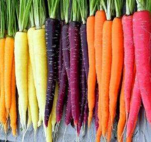 rainbow carrot seeds for planting heirloom non gmo packets 750 seeds – plant & grow rainbow carrots in home outdoor garden, great gardening gift – 1 packet