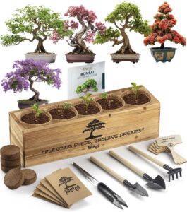 avergo bonsai tree kit – 5x unique japanese bonzai trees | complete indoor bonsai starter kit for growing bonsai plants with tools & planters – gardening gifts for women & men