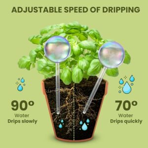 LEDERA Plant Watering Globes, Clear Glass Rainbow Self Watering Spikes, Automatic Plant Waterers Insert, Auto-Drippers Glass Ball for Plant Indoor Outdoor, Garden Gift, 4 Pack