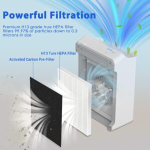 Breshair C545 Filter Replacement Compatible with Winix C545 Air Purifier, 2 True HEPA Filters S and 8 Activated Carbon Filters, Compare to Part # 1712-0096-00 & 2522-0058-00