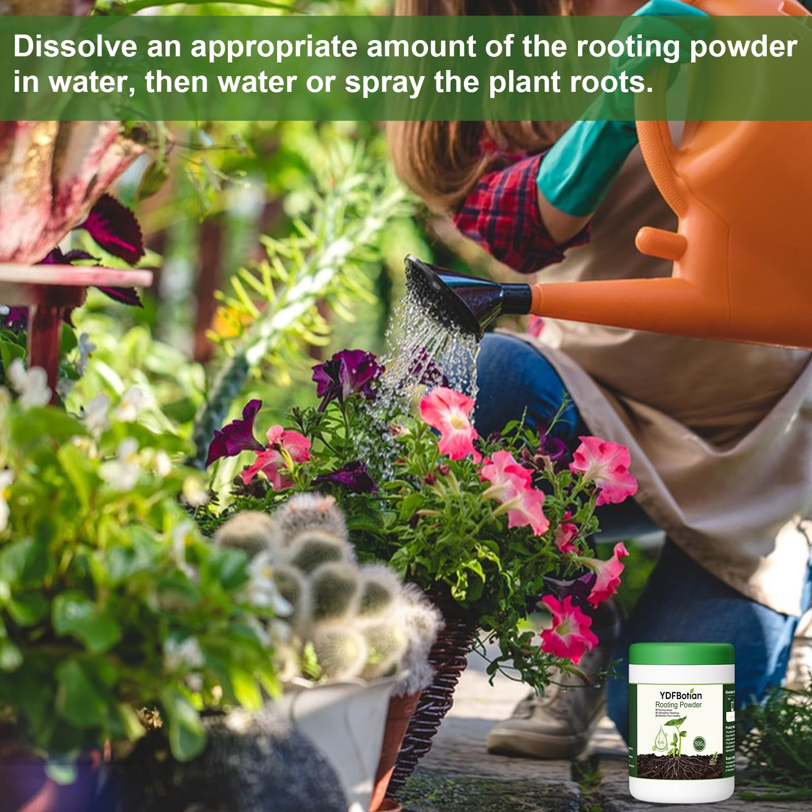 YDFBotian Rooting Powder, 8.8 oz, Plant Rooting Hormone, Rooting Hormone for Cuttings, Suitable for Violets, Azaleas, Rose, Geraniums, Coleus, Orchids, Vannamei and Most Indoor and Outdoor Plant