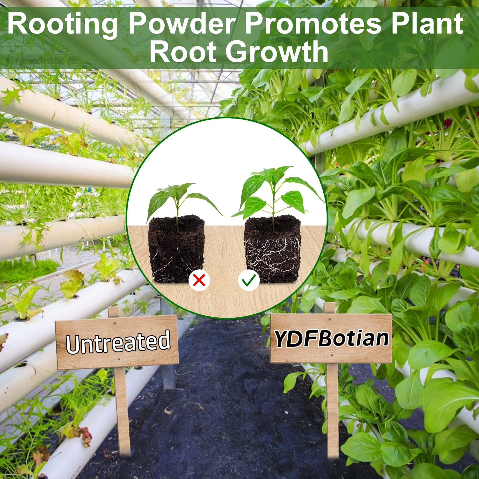 YDFBotian Rooting Powder, 8.8 oz, Plant Rooting Hormone, Rooting Hormone for Cuttings, Suitable for Violets, Azaleas, Rose, Geraniums, Coleus, Orchids, Vannamei and Most Indoor and Outdoor Plant