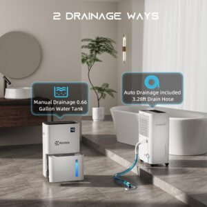 Wellsle 34 Pint Dehumidifier for Bedroom & Basement with Smart Humidity Control, 24HR Timer, Home Dehumidifier with Drain Hose for Continuous Drainage - Quiet Dehumidifier with 3 Working Modes