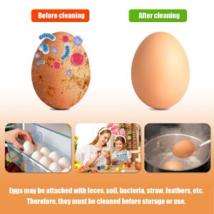 Shcsdr Egg Washer for Fresh Eggs Silicone Egg Brush Egg Scrubber Multipurpose Vegetable and Fruit Cleaning Tool Reusable Egg Cleaning Brush for Egg Cleaner (White 1Pack)