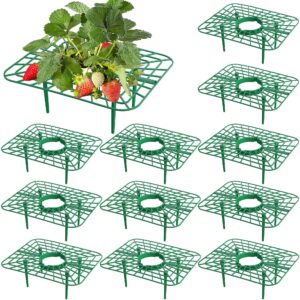 iceyyyy 12 packs square strawberry supports-strawberry growing racks- plant support strawberry stand holder growing frame keep berries clean (square 12pcs)