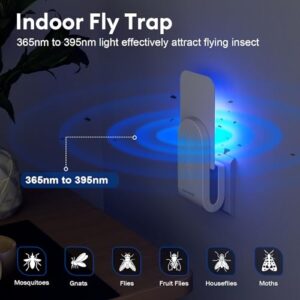 DFAGIE Fly Trap Indoor(1 Device + 5 Glue Cards), Plug-in Flying Insect Trap for Mosquito, Flies, Fruit Flies, Moths, Gnats, Gnat Trap for House Indoor, White