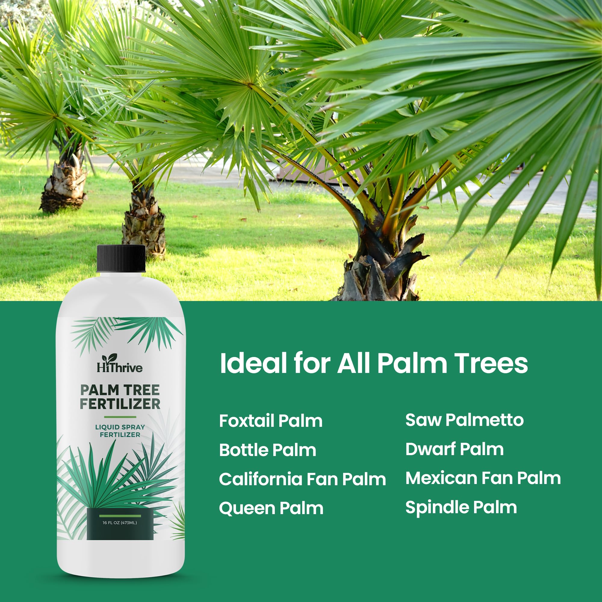 16oz Palm Tree Fertilizer, Premium Plant Food - Palm Fertilizer for Lush Growth of Palm Trees, Rich in Plant Nutrients Plant Fertilizer, Easy Plant Care Liquid Fertilizer - Water Soluble Fertilizer