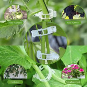 120Pcs Plant Support Clips, Plastic Trellis Plant Support Clips for Support, Garden Clips, Grape Vine, Tomato Vegetables Trellis Clips, Garden Clips to Grow Upright Makes Plants Healthier