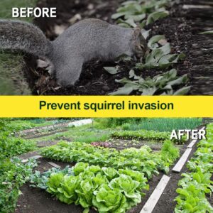 Ksqurelnb Squirrel Repellent Outdoor, Chipmunk Repellent Outdoor for Plants, Squirrel Deterrent, Keep Squirrels Away from Garden, Get Rid of Squirrels, Mint Squirrel Repellents for Attic-8P