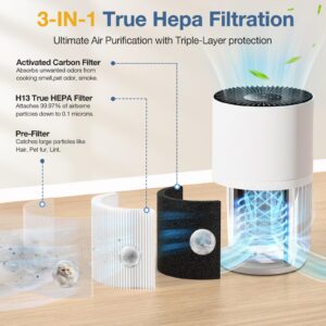 H7126 Air Filter Replacement for GoveeLife H7126 Mini air Purifier, H13 True HEPA Filter, 3-in-1 H7126-RF High-Efficiency Filter with Activated Carbon, 2 Pack