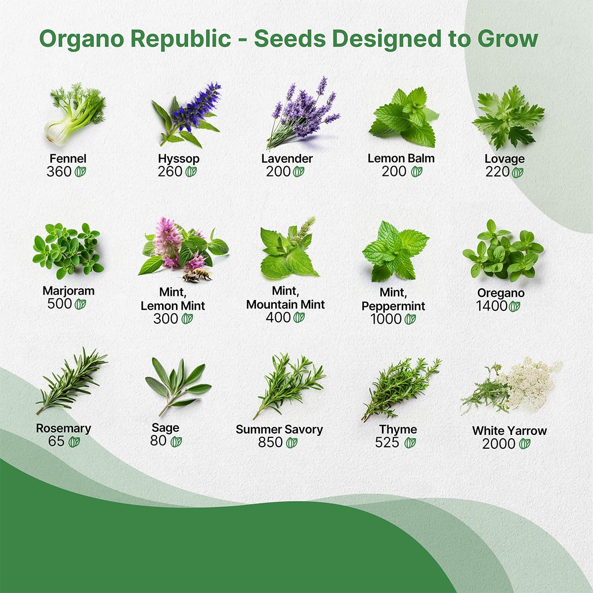 Organo Republic 30 Medicinal & Tea Herb Seeds Variety Pack 15,560+ Non-GMO Heirloom Garden Seeds for Indoor & Outdoors, Including Anise, Bergamot, Borage, Cilantro, Chamomile, Dandelion Seeds